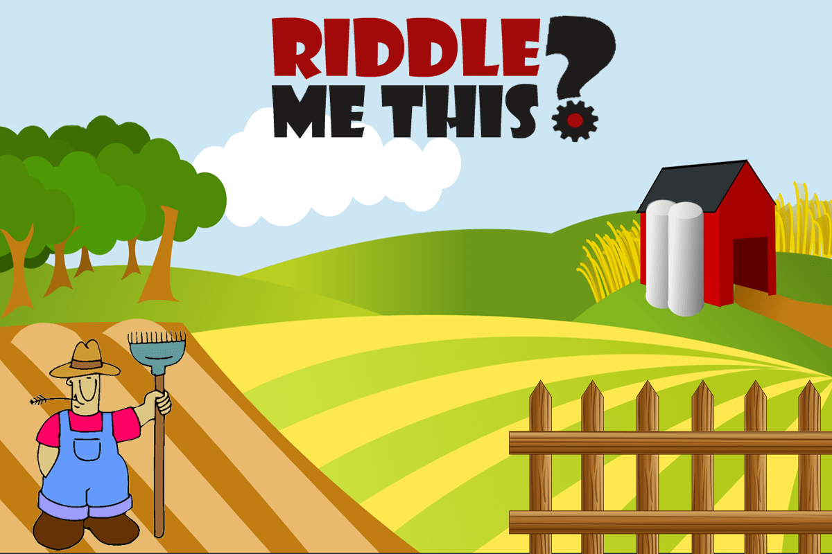 Riddle Me This: Fence Building - NoonPi